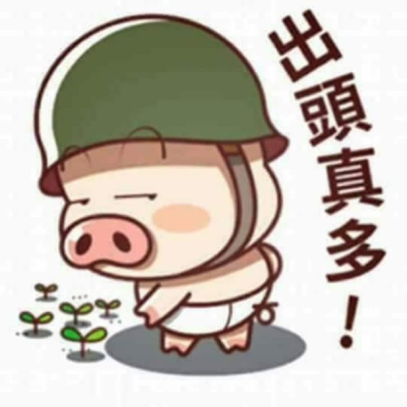 juju_pig, 線上商店 | 蝦皮購物