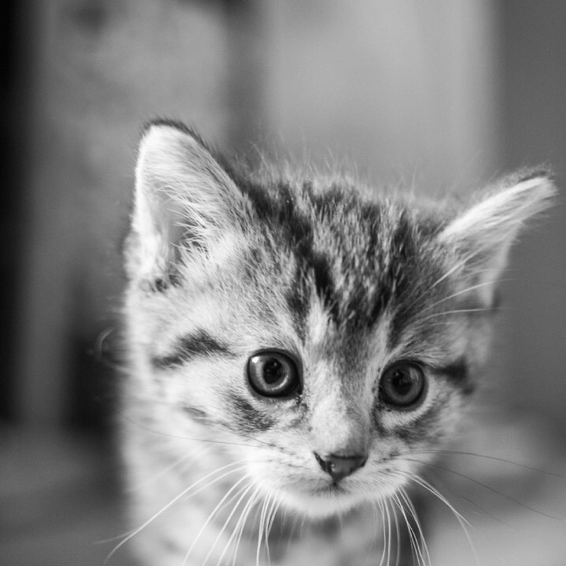 shumit, 線上商店 | 蝦皮購物