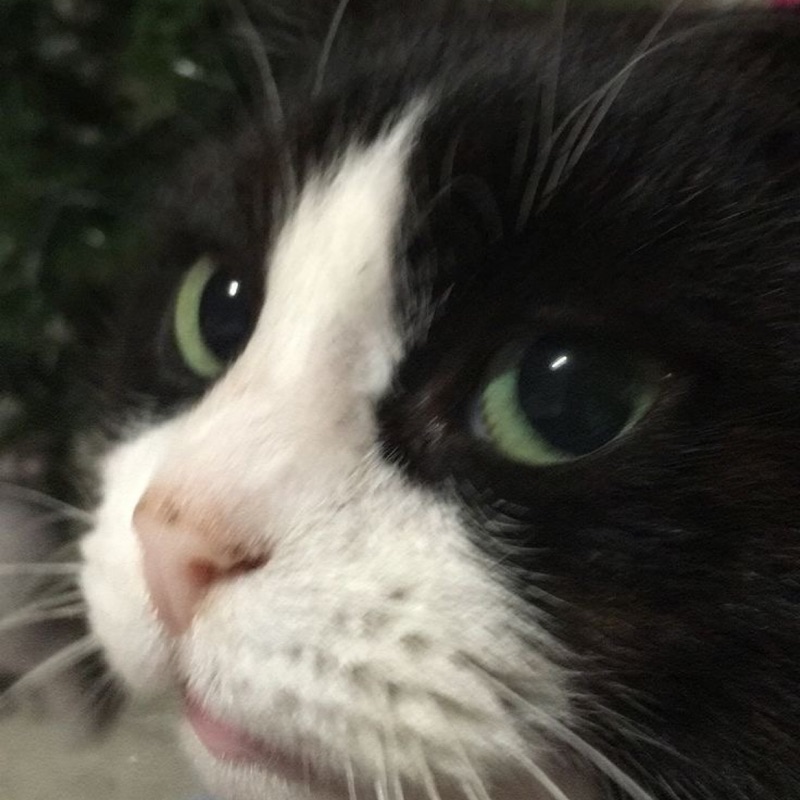 Parrus, 線上商店 | 蝦皮購物