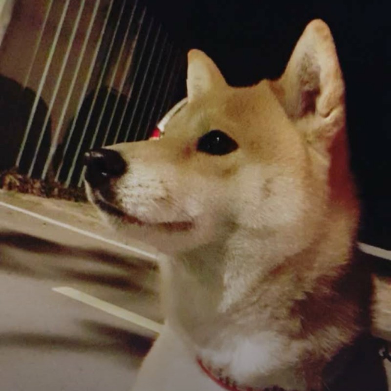 winnie_teng, 線上商店 | 蝦皮購物