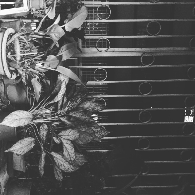 wheeeeeeeeee, 線上商店 | 蝦皮購物