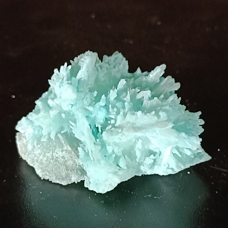 life99.9, 線上商店 | 蝦皮購物