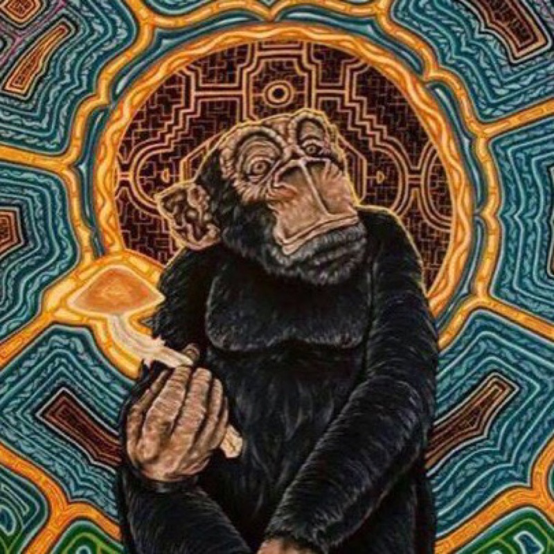 monkeyrun, 線上商店 | 蝦皮購物