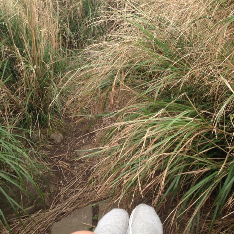 kahei, 線上商店 | 蝦皮購物