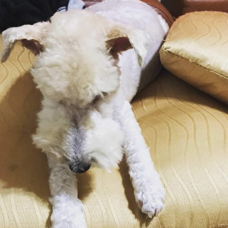 f40955010974, 線上商店 | 蝦皮購物