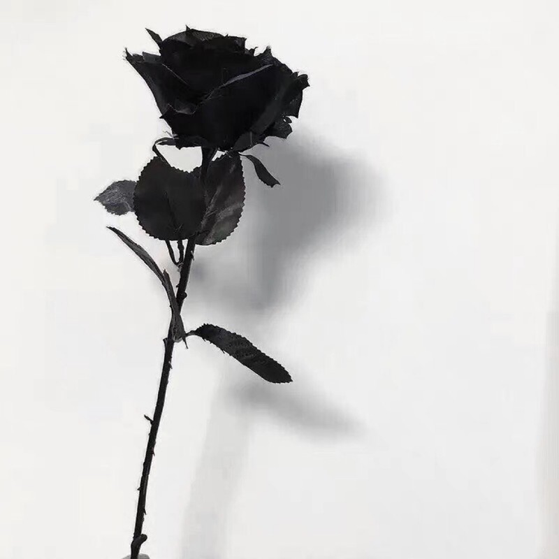 MTF.studio, 線上商店 | 蝦皮購物