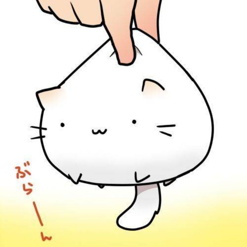 ni.cat, 線上商店 | 蝦皮購物