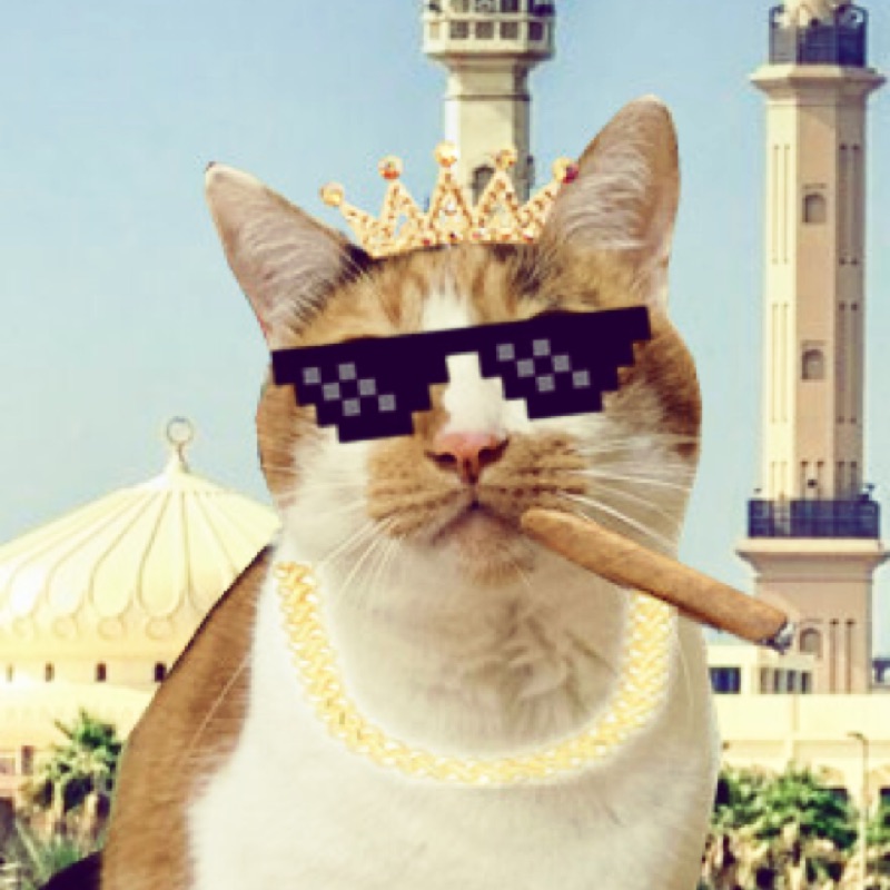 tain_tain, 線上商店 | 蝦皮購物