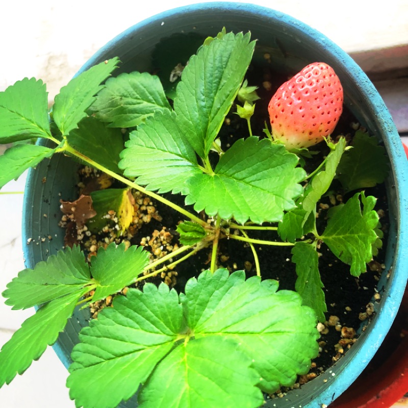 regke, 線上商店 | 蝦皮購物