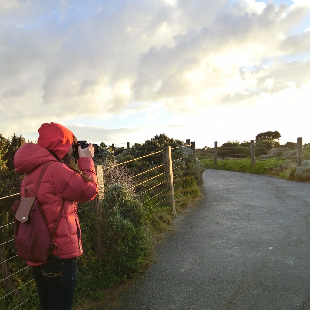 mickey_sun, 線上商店 | 蝦皮購物