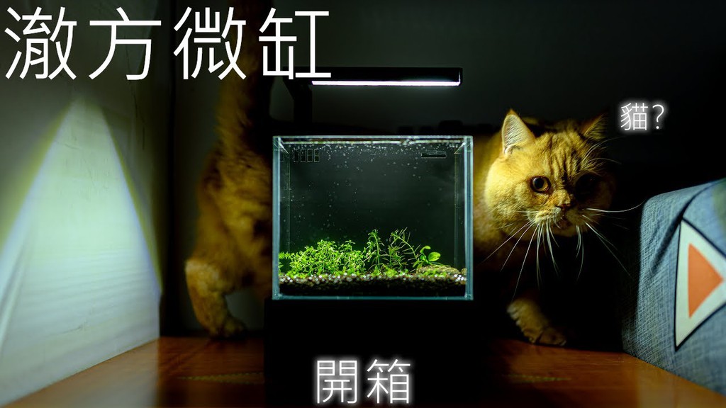 CHE FANG AQUA, 線上商店 | 蝦皮購物