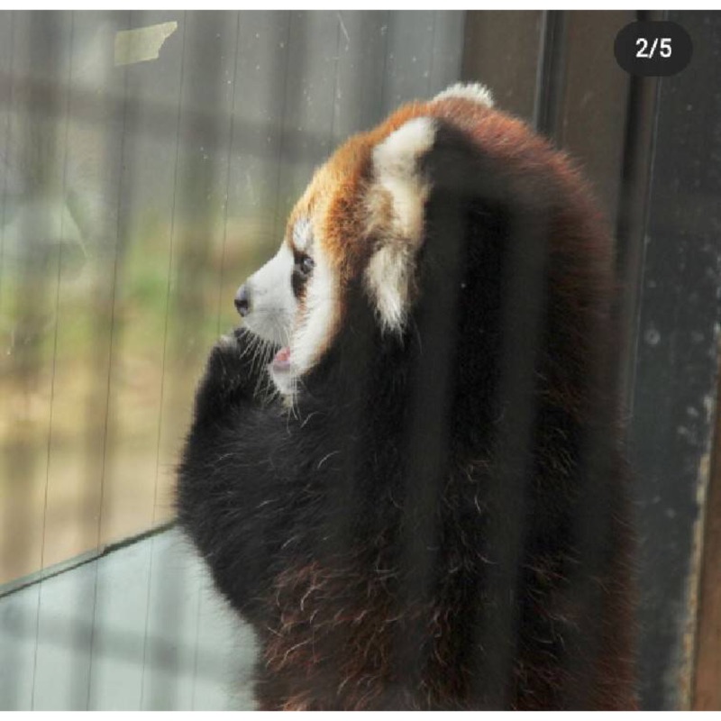 yun.yi, 線上商店 | 蝦皮購物