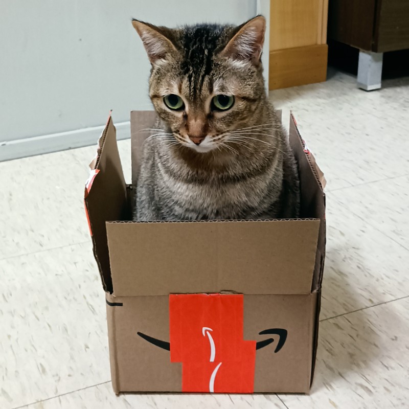 mumu cat, 線上商店 | 蝦皮購物