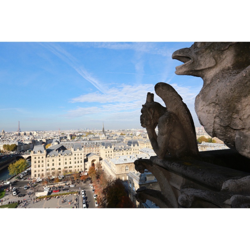 dodoremi, 線上商店 | 蝦皮購物