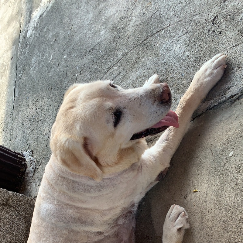 s84526457, 線上商店 | 蝦皮購物