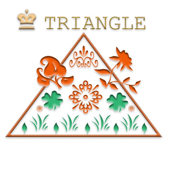 TRIANGLE_SUPPLIES_STORE, 線上商店 | 蝦皮購物