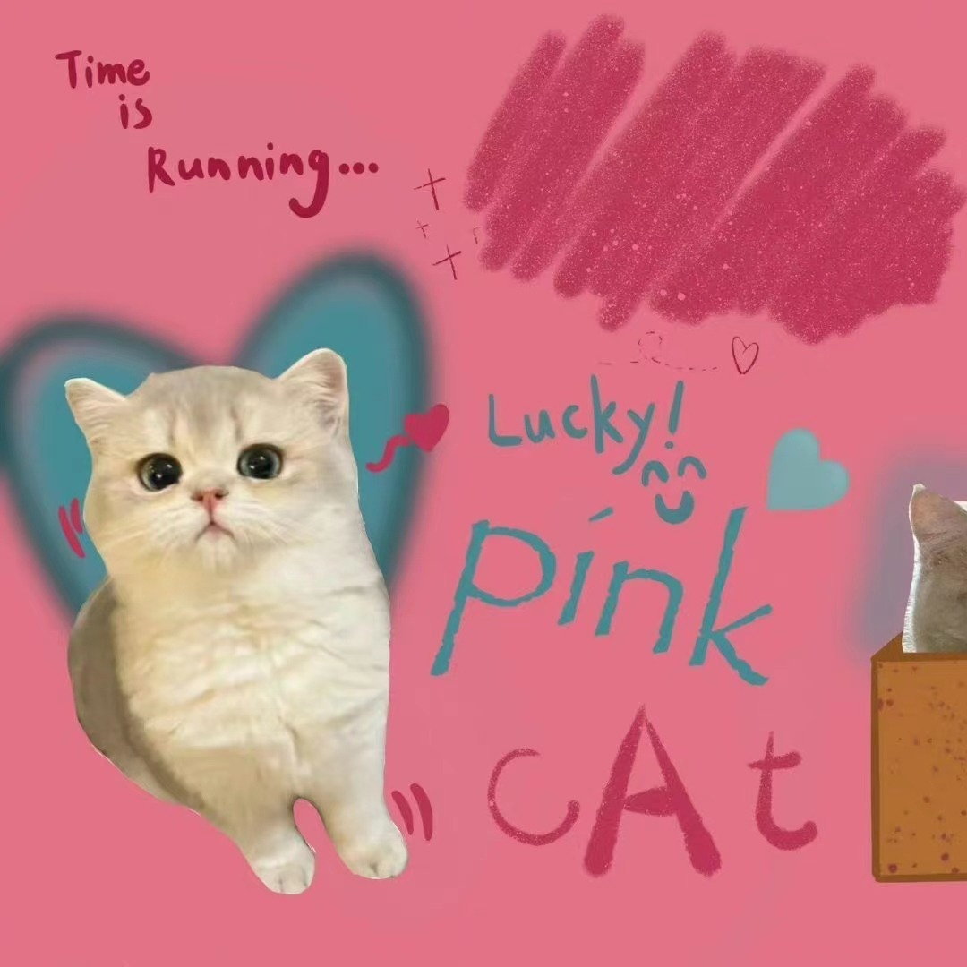 Nova STRIDE, 線上商店 | 蝦皮購物