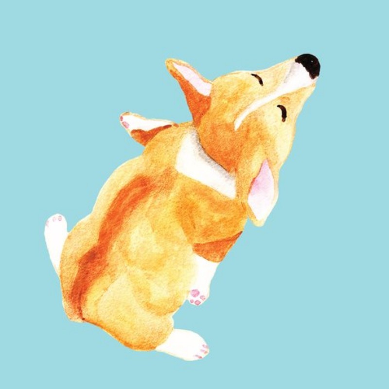 ChiPuPu小賣場, 線上商店 | 蝦皮購物