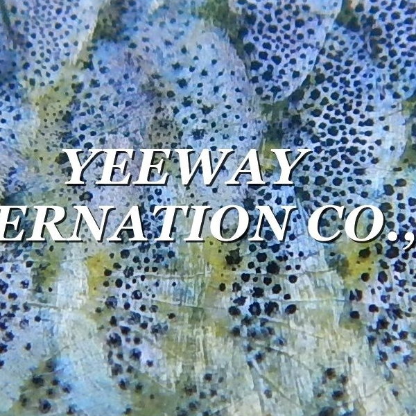 YEEWAY怡維國際, 線上商店 | 蝦皮購物