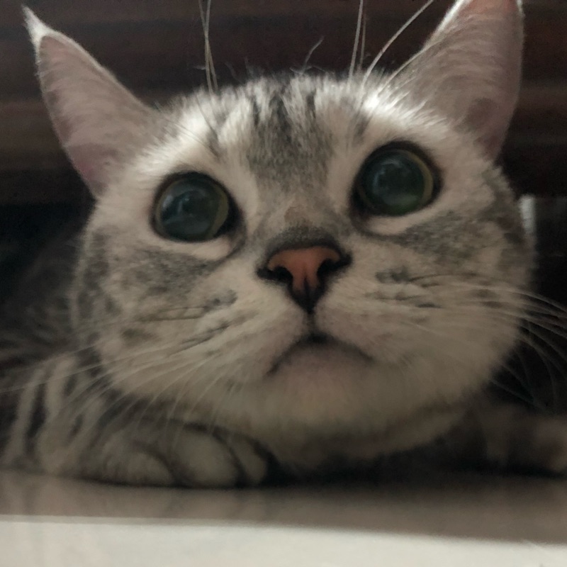 hhhhb, 線上商店 | 蝦皮購物