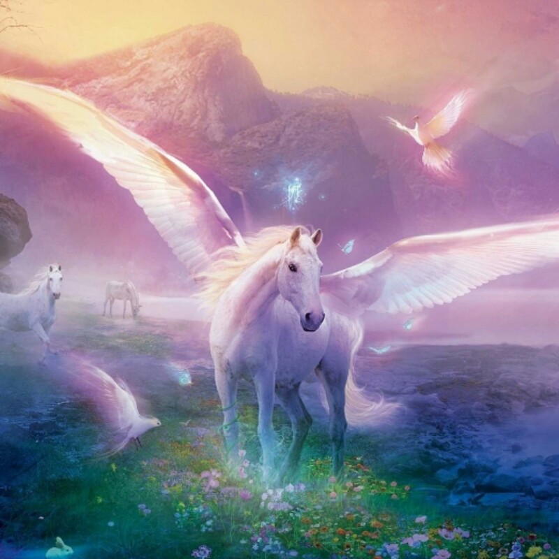 Misa_Q, 線上商店 | 蝦皮購物