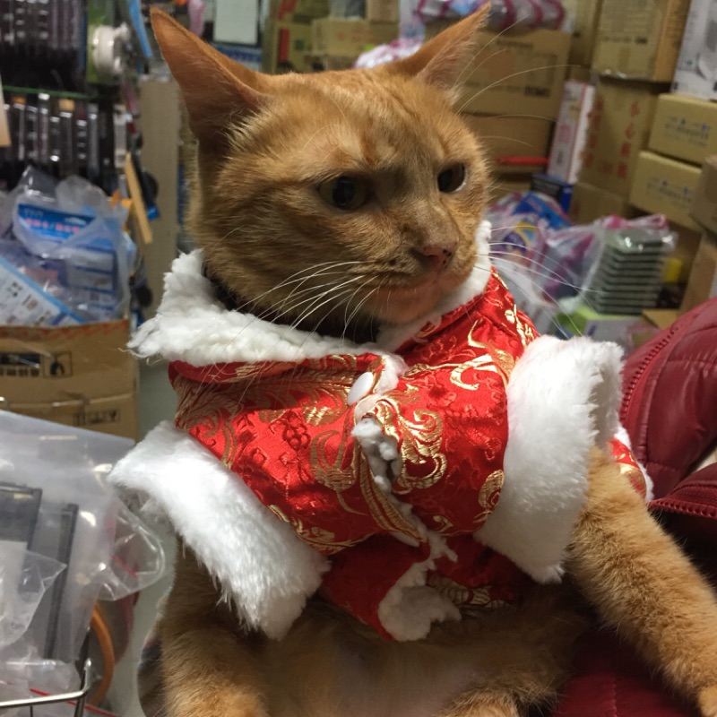 便利網商行 KINYO網路授權經銷商(A20122122), 線上商店 | 蝦皮購物