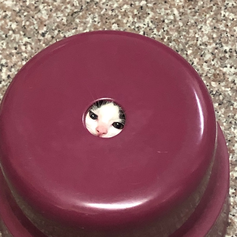 aliceee_lXD, 線上商店 | 蝦皮購物