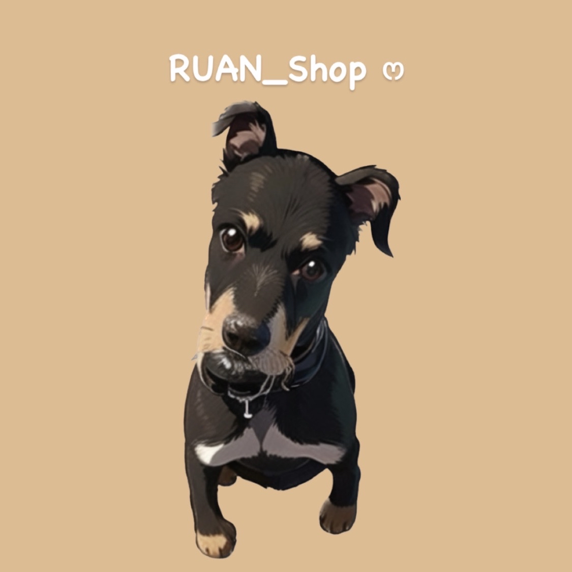Ruan_shop, 線上商店 | 蝦皮購物