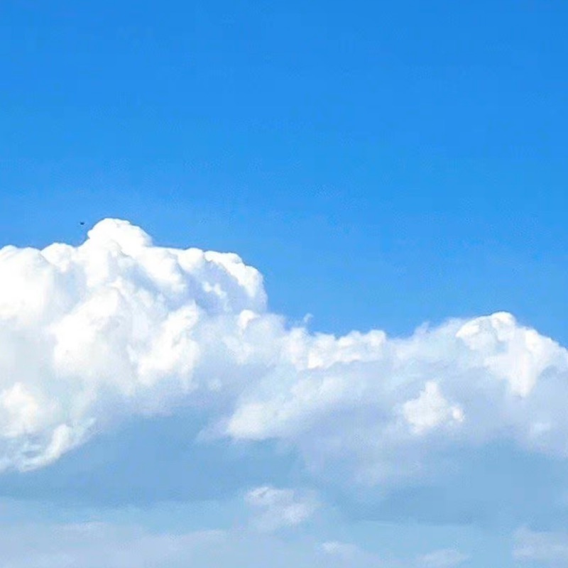 MmmmJ, 線上商店 | 蝦皮購物