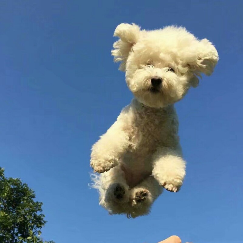 bts_ee, 線上商店 | 蝦皮購物