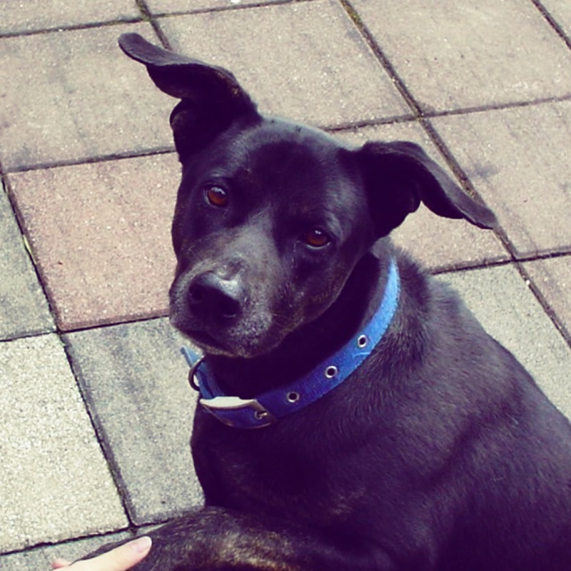 mars_ham, 線上商店 | 蝦皮購物