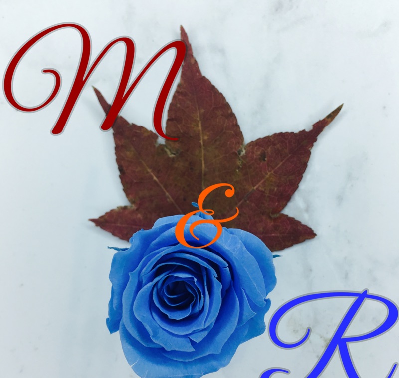 maple.rose, 線上商店 | 蝦皮購物
