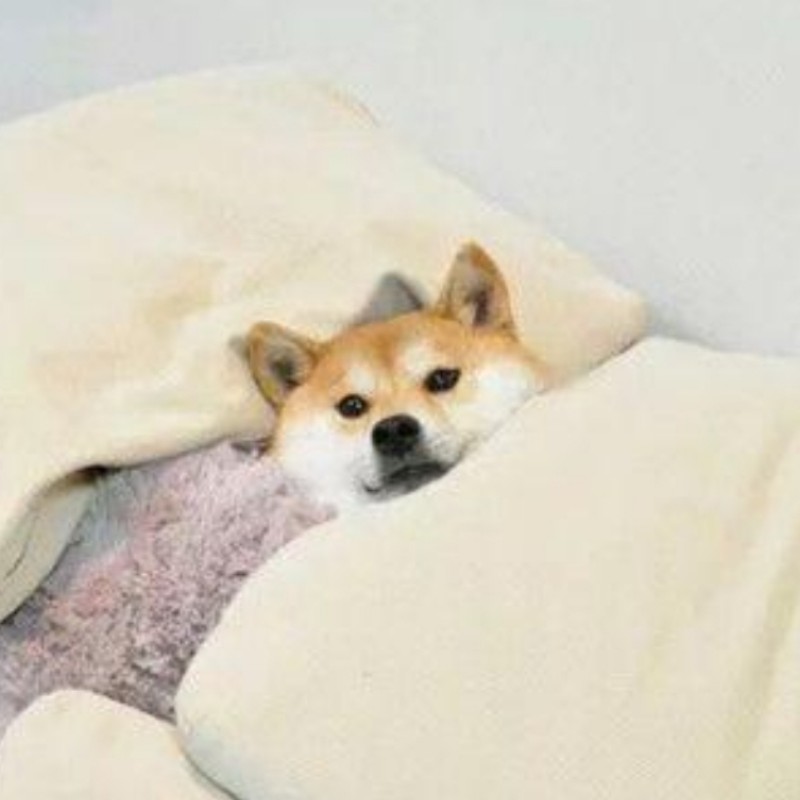 fulio, 線上商店 | 蝦皮購物