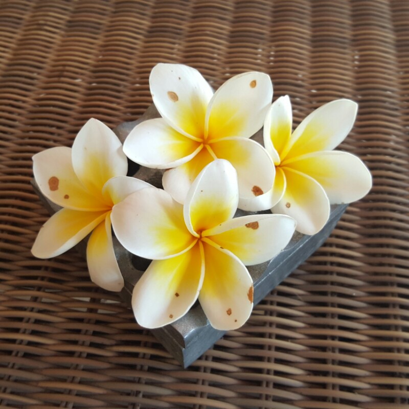 mznxbcv, 線上商店 | 蝦皮購物