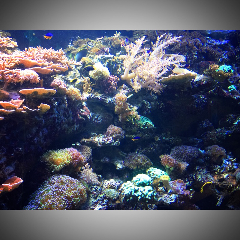 kikoholic, 線上商店 | 蝦皮購物