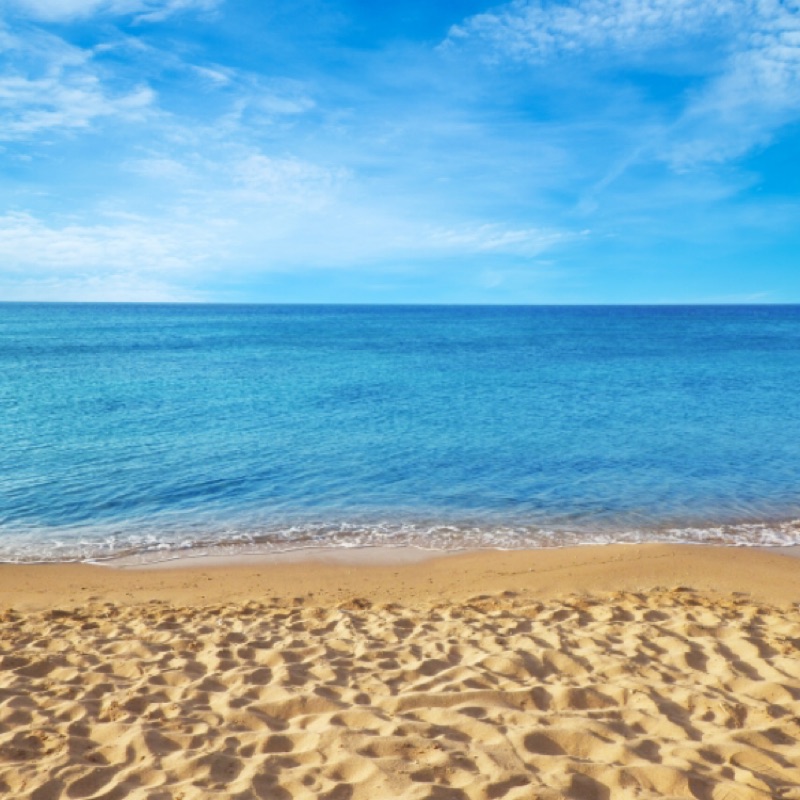 tw2093_12366, 線上商店 | 蝦皮購物