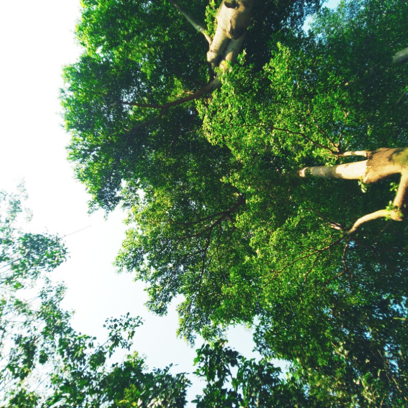 123654789？, 線上商店 | 蝦皮購物