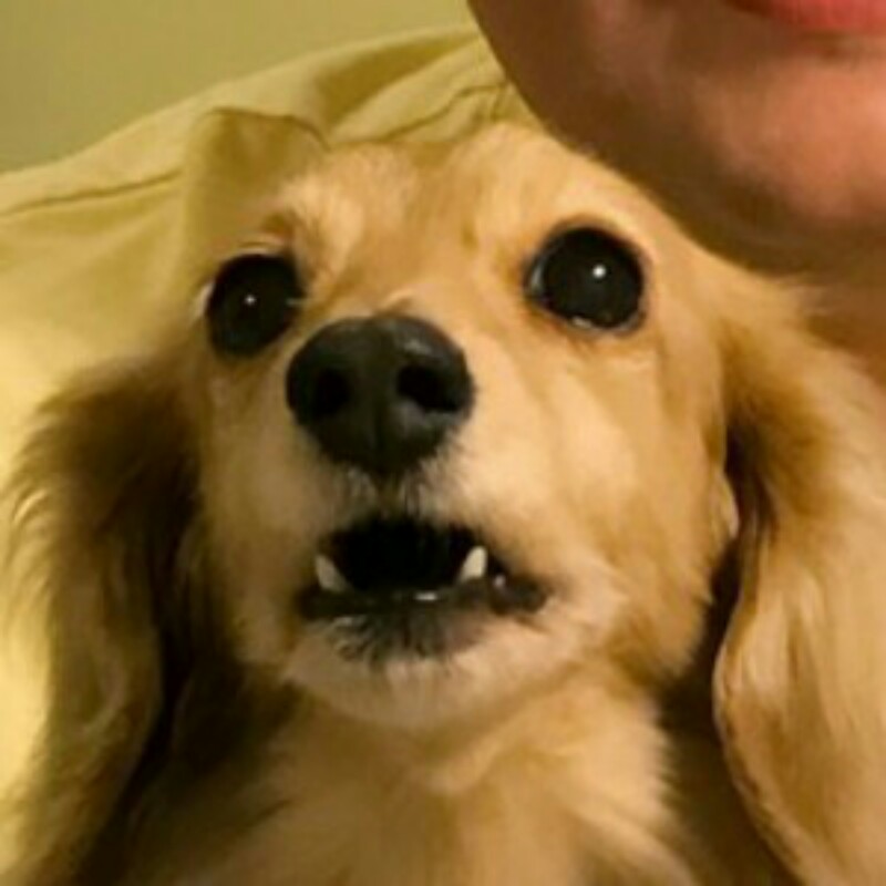 martin.yu, 線上商店 | 蝦皮購物