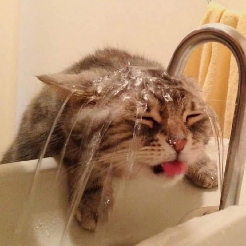 yolohan, 線上商店 | 蝦皮購物