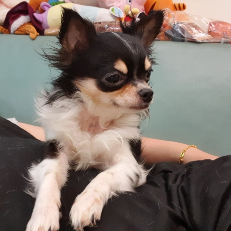 e_lynn, 線上商店 | 蝦皮購物