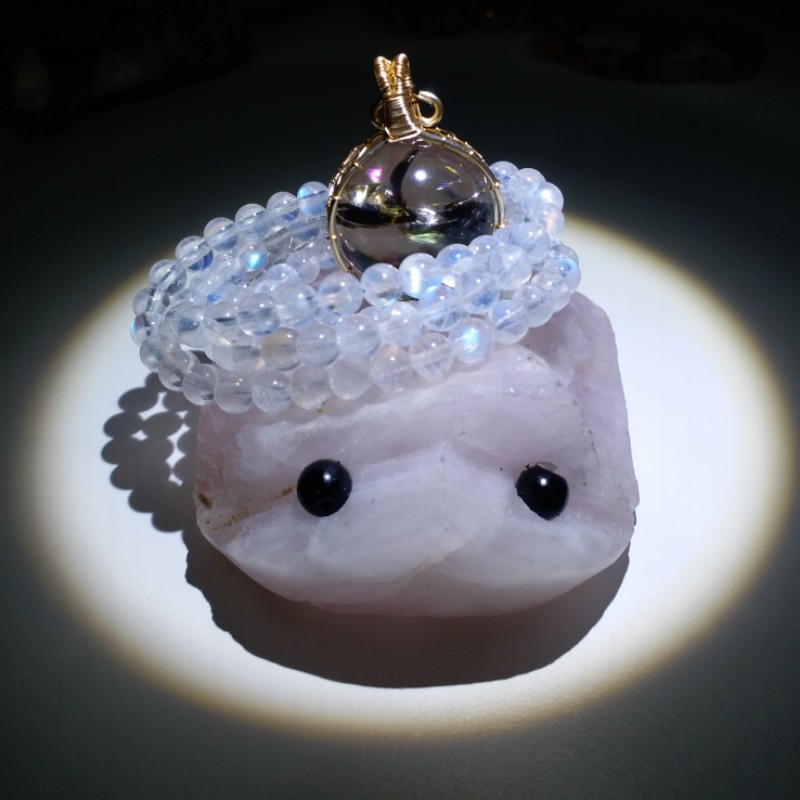 shiningstar_rabbit, 線上商店 | 蝦皮購物