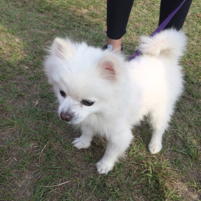 k_870118, 線上商店 | 蝦皮購物