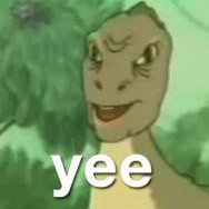 Toyee, 線上商店 | 蝦皮購物