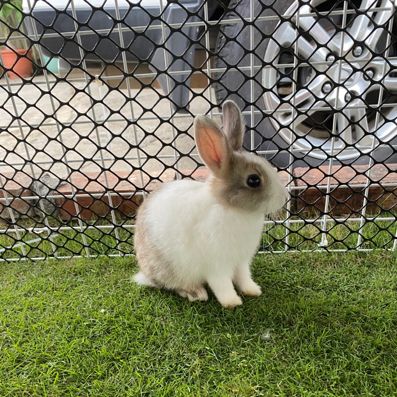 sunny0716_, 線上商店 | 蝦皮購物