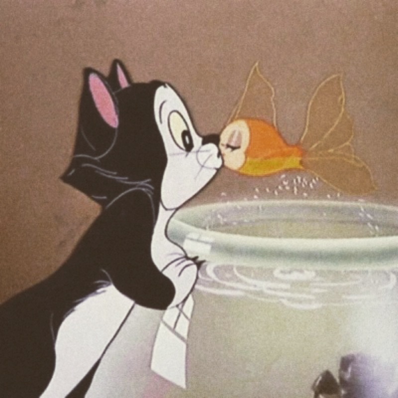 asddfg, 線上商店 | 蝦皮購物