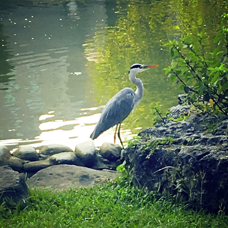 iwiwi, 線上商店 | 蝦皮購物