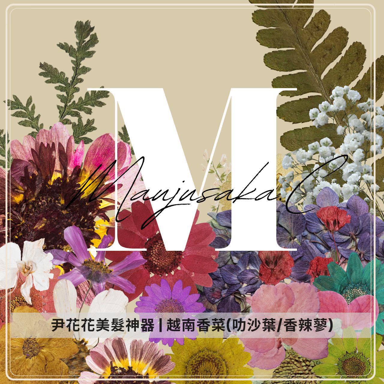 尹花花長髮神器髮妝品 越南香菜香辣蓼 🌺MANJUSAKA.C🌺, 線上商店 | 蝦皮購物