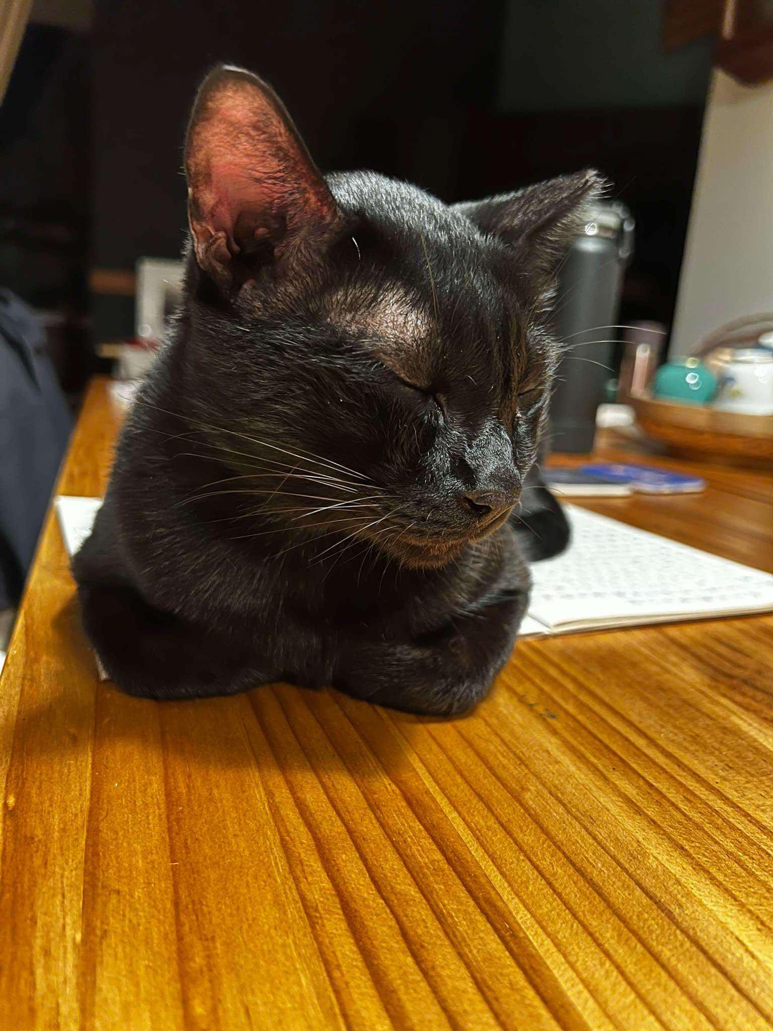 willful, 線上商店 | 蝦皮購物