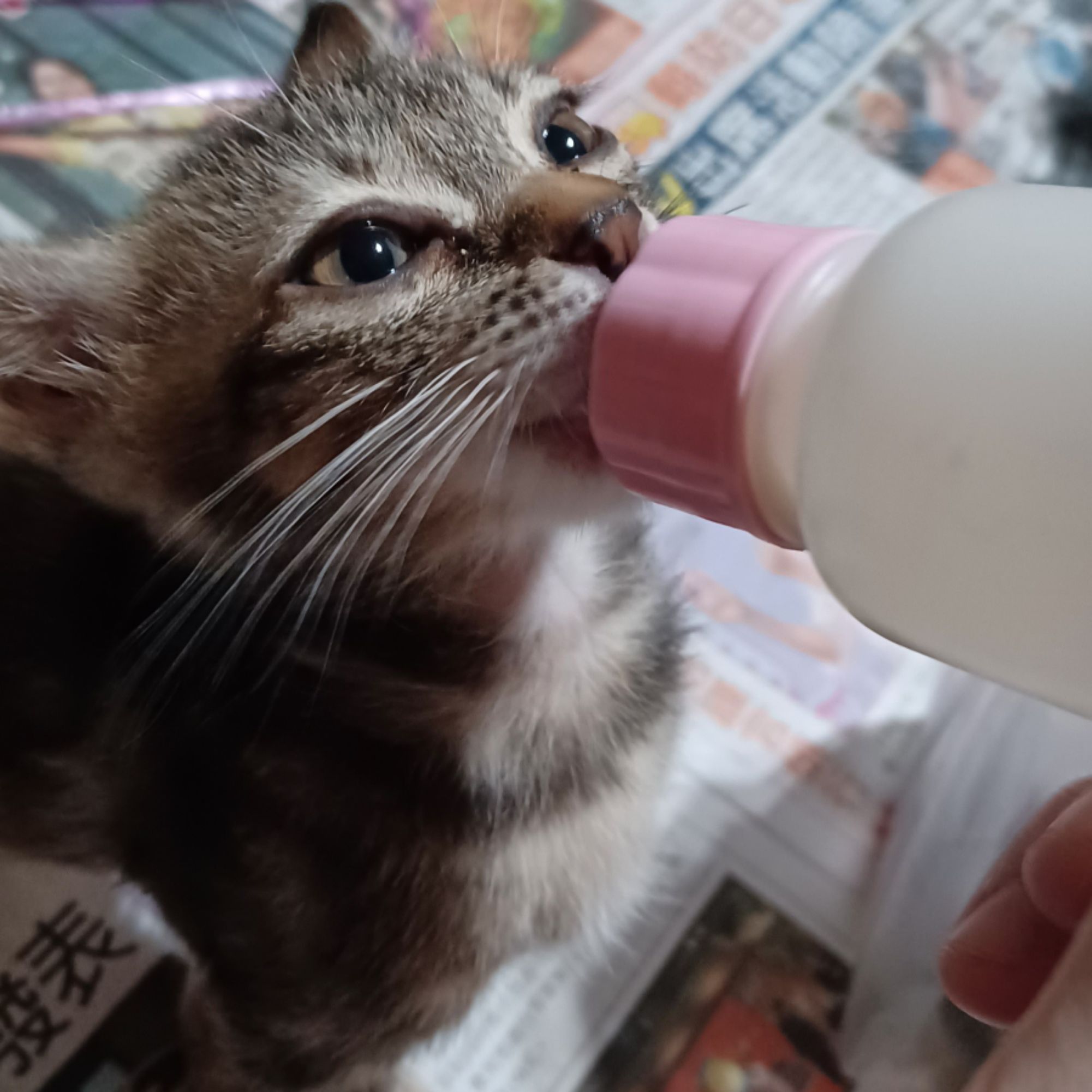 c35i5v_x67, 線上商店 | 蝦皮購物