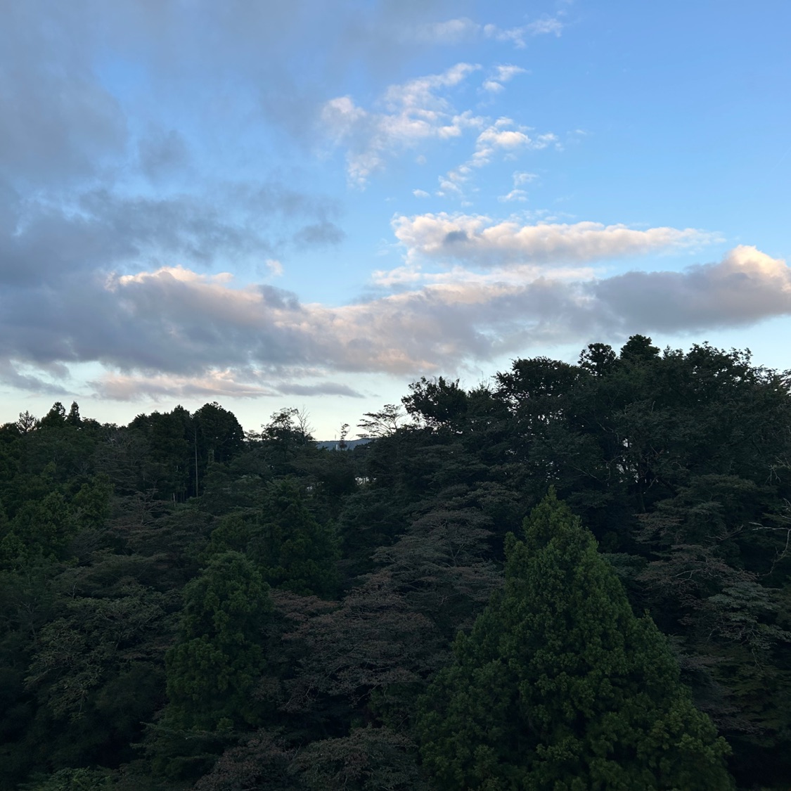 CLINA, 線上商店 | 蝦皮購物